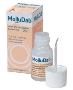 Home - Molludab